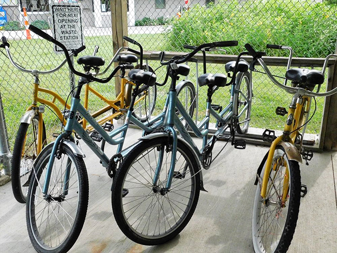 These rental options prove that roughing it doesn't have to mean giving up all civilized comforts.