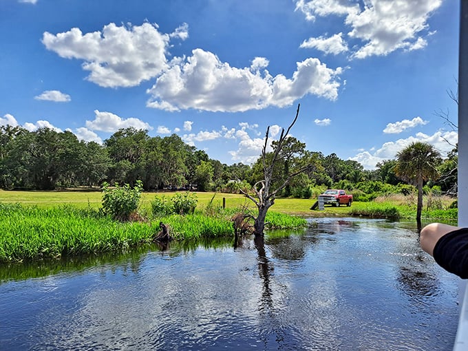 Water trails through verdant wilderness: nature's version of a lazy river, minus the chlorine and screaming children.