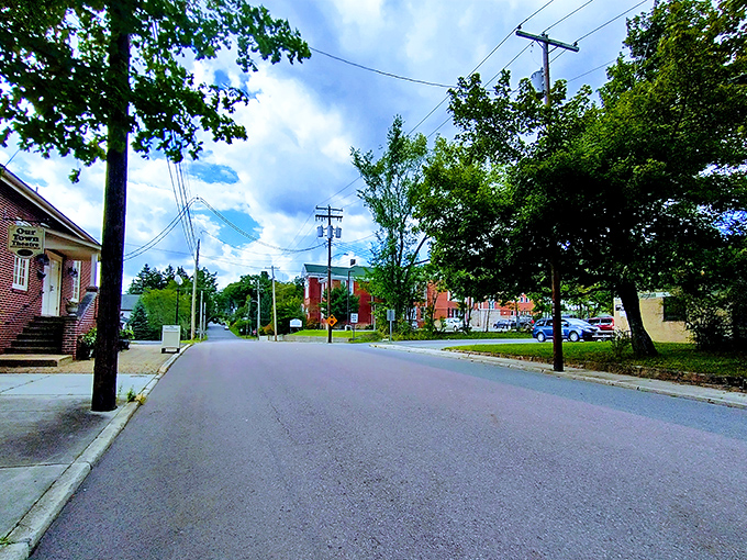 Tree-lined streets where you can practically hear the leaves whispering stories about the town's colorful characters.