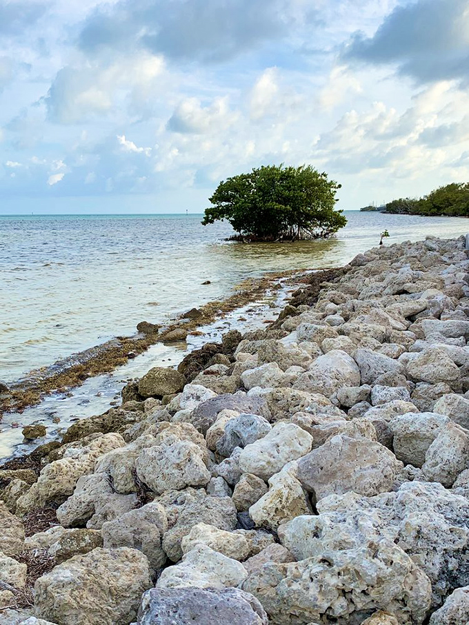 Rocky shoreline that looks like nature's version of a defensive line, protecting the delicate ecosystem from whatever the Atlantic throws its way.