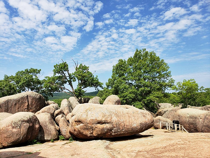 The famous "elephant parade" in all its glory. These massive boulders stand in line like circus performers frozen in time.