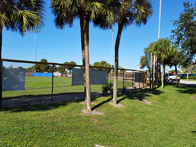 Palm trees stand sentinel around community ballfields, where Florida's version of seasons is marked by changing sports rather than falling leaves.