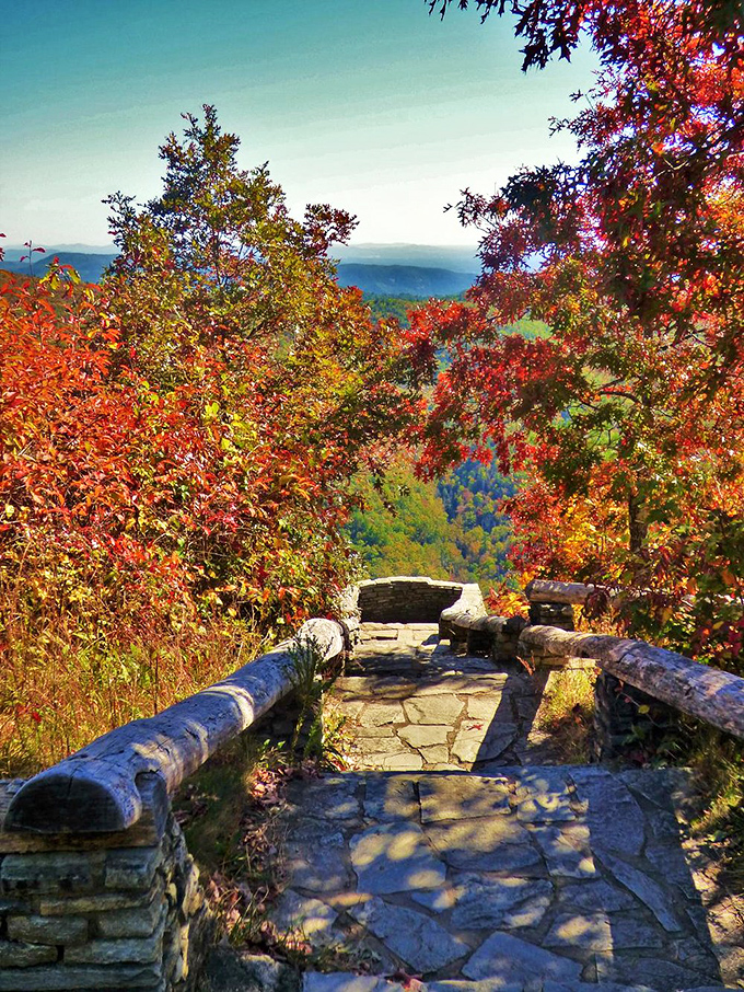 Autumn transforms this stone pathway into a golden corridor, framing the distant mountains like nature's own art gallery entrance.