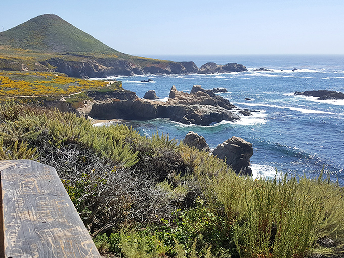 Golden hills meet sapphire waters in California's signature palette. This landscape has inspired countless artists, photographers, and impromptu roadside stops.