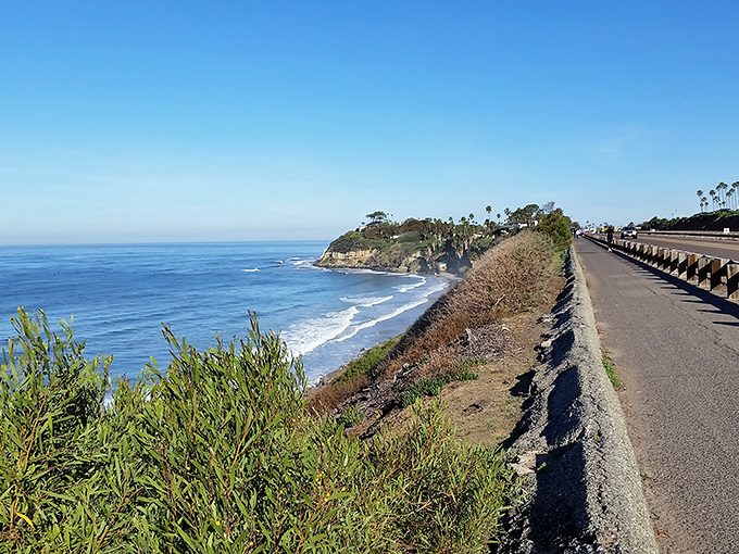 These seaside roads hug the coastline with the devotion of a love letter, offering drivers views that make traffic jams almost bearable.