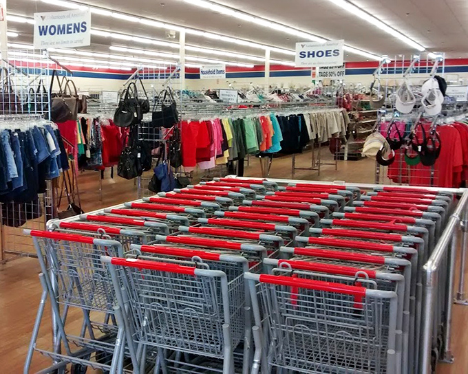 Shopping cart armada standing at attention, ready for your thrifting battle plan. Each one a potential vessel for $35 worth of fashion revolution.