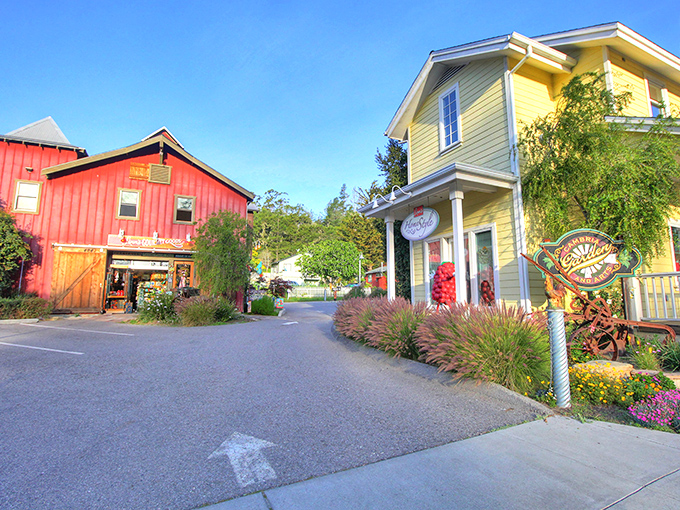 Colorful storefronts invite exploration down Cambria's side streets. Each shop promises treasures you didn't know you needed until now.