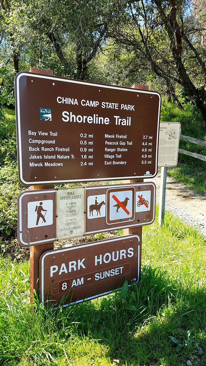 The Shoreline Trail promises adventures measured in miles and memories. Just follow the brown signs to bliss.