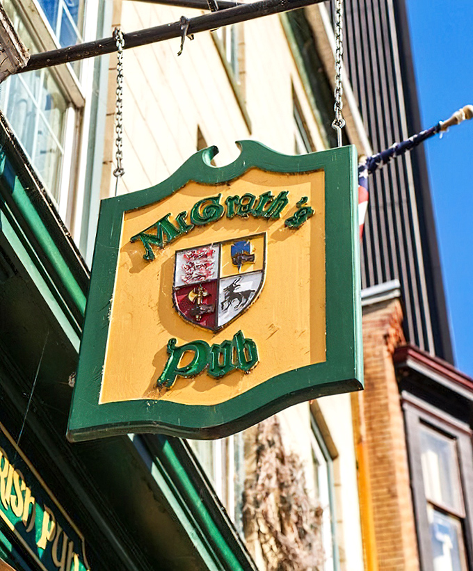 The hanging pub sign serves as a beacon for thirsty travelers, its traditional shield design promising authentic Irish hospitality within.