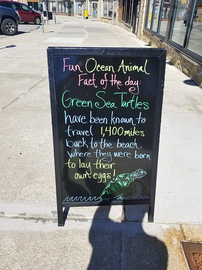 Bold signage announces a restaurant confident enough to let their food do the talking for them.