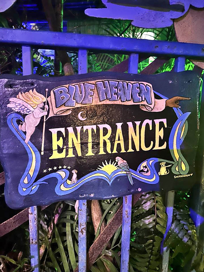 The hand-painted entrance sign welcomes you to a world where roosters roam free and banana bread dreams become delicious reality.