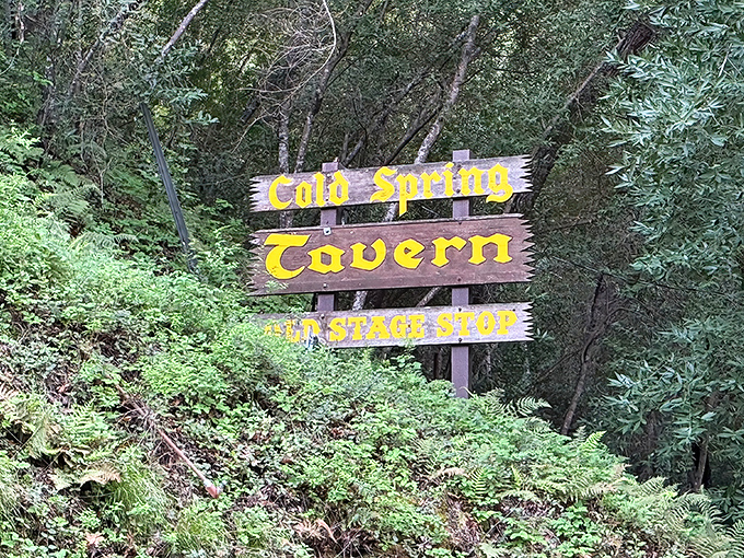 This sign doesn't just mark a location; it's an invitation to step back in time where "Old Stage Stop" isn't a theme&mdash;it's the truth.