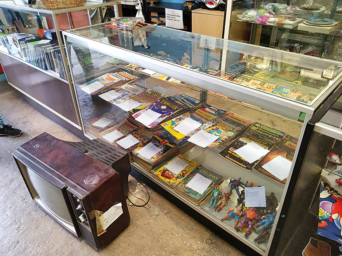 Display cases filled with collectibles and curiosities. One person's forgotten knickknack becomes another's conversation-starting treasure.