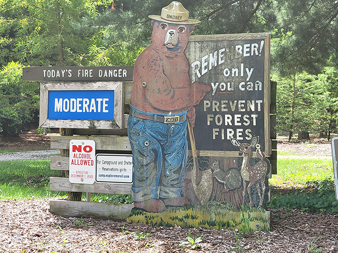 Smokey Bear: The original forest influencer since 1944. His fashion sense never changed, but his message remains timeless.