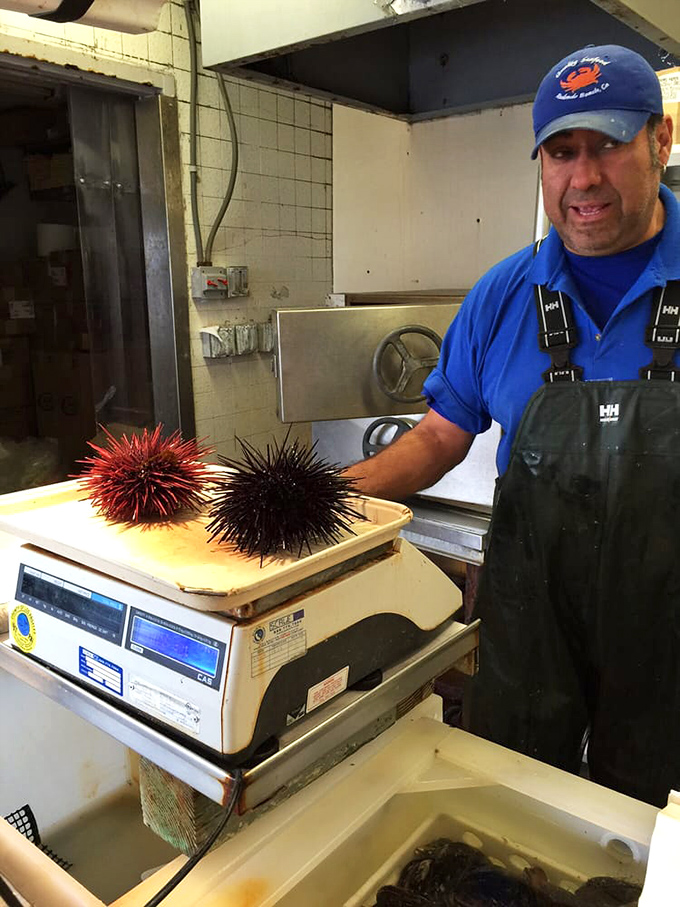 Sea urchins with their spiky armor intact. Behind every great seafood dish is someone who knows exactly what to do with these.