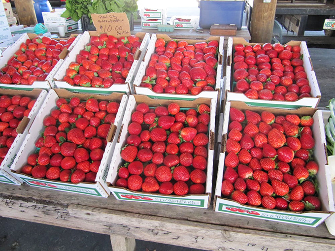 Strawberries so red they look Photoshopped. Florida sunshine transformed into bite-sized fruit bombs that put supermarket berries to shame.