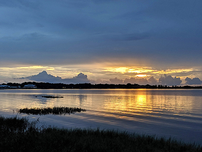 Sunset over the lake paints the sky in Florida gold and amber. Nature's nightly show requires no tickets, just the wisdom to pause and watch.