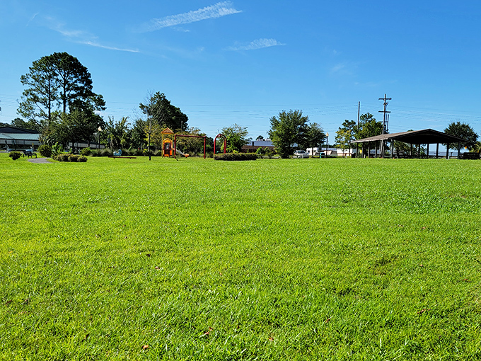 Community parks offer peaceful green spaces for picnics and play. The playground equipment in the distance promises fun for visiting grandchildren at no extra charge.