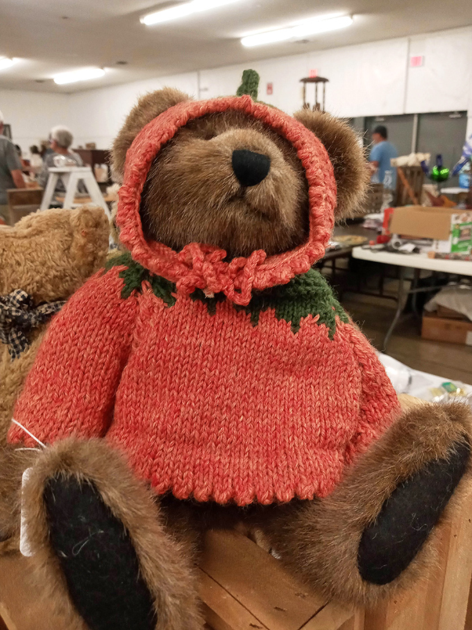 "I've seen things you wouldn't believe…" This well-dressed teddy has stories to tell and is looking for a new home to share them in.