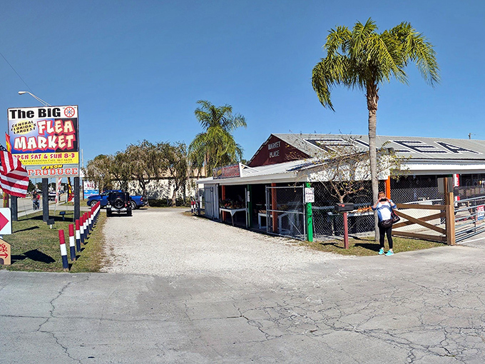 The Big O Flea Market promises treasures and trinkets with equal enthusiasm. One person's castoff becomes another's conversation piece.