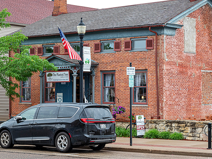 The Planted Tree occupies a brick building that's weathered more Wisconsin winters than most of us have seen birthdays.
