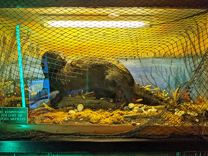 Meet the namesake resident&mdash;a taxidermied black otter keeping watchful eyes over diners, silently judging those who skip the famous fish fry.