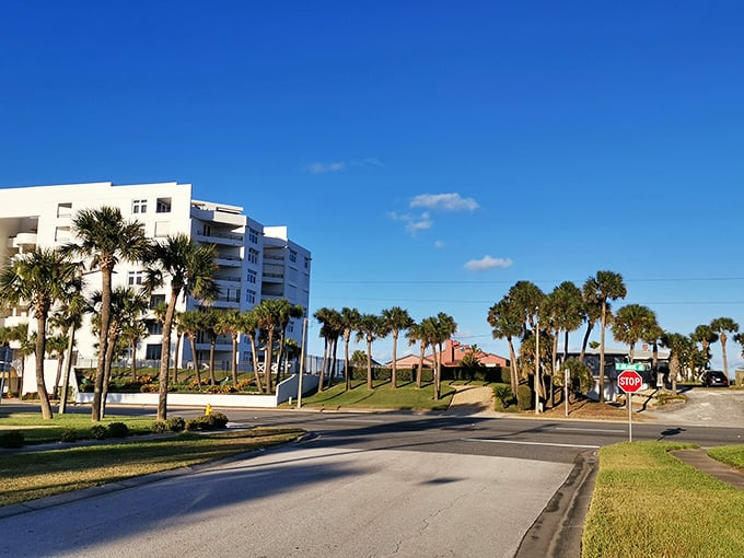 Coastal living reaches its full potential where palm trees frame modern buildings, creating that quintessential Florida skyline that vacation dreams are made of.