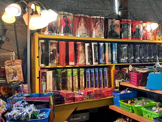 Childhood nostalgia boxed and displayed with care. Barbies and action figures waiting for their next adventure in a new home.