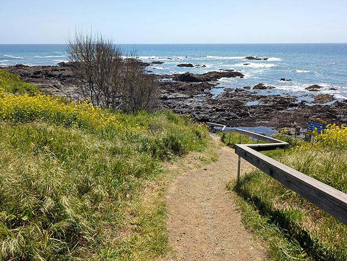Follow this humble dirt path through wildflowers and coastal grasses for one of California's most rewarding "are we there yet?" moments.