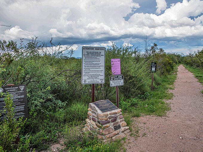 Hiking trails beckon the adventurous, with signage that politely reminds you that you're a visitor in nature's home. Tread lightly and bring water!