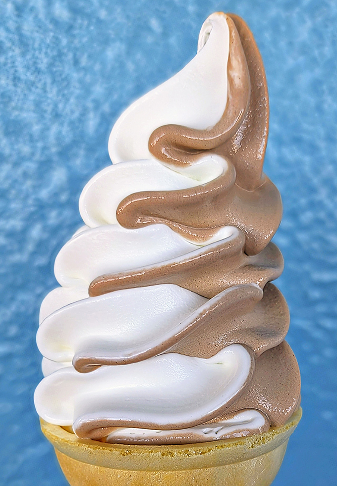 The twist cone&mdash;where chocolate and vanilla live in perfect harmony, proving that sometimes the best things in life are indeed black and white.