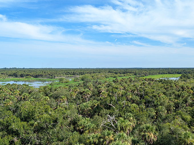 The view that makes smartphone cameras feel wholly inadequate. Some landscapes simply demand to be experienced in panoramic, sensory-rich reality. 