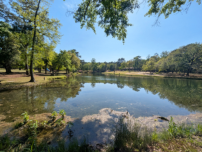 Reflections that rival any meditation app. This tranquil scene at Aiken State Park offers the kind of peace that usually requires expensive therapy or yoga retreats.