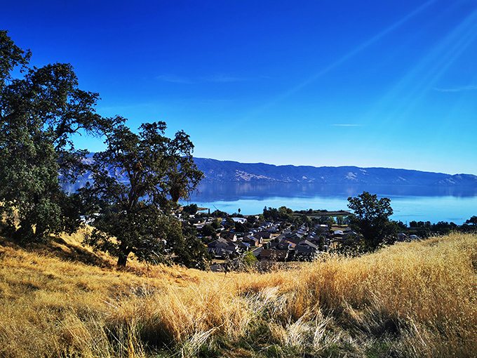 The view that makes you understand why people write songs about California dreaming, with golden hills rolling down to meet the blue lake.