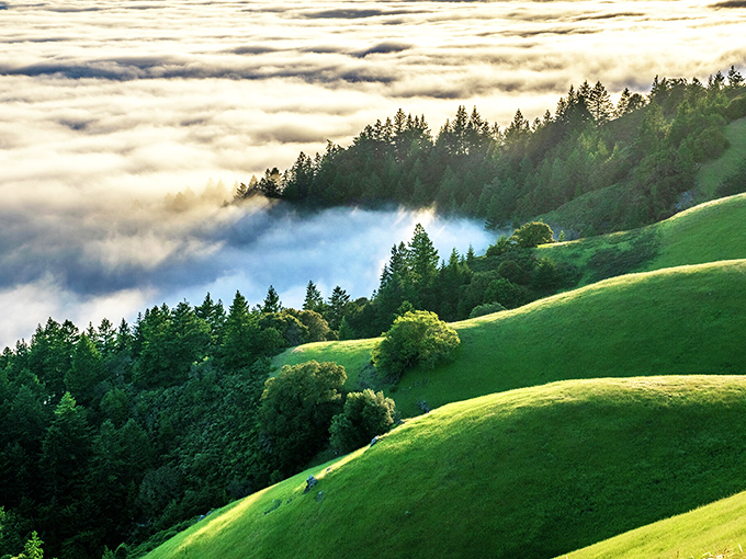 The fog-kissed slopes of Mount Tam, where emerald hillsides meet misty clouds in a scene so perfect it belongs on a fantasy novel cover.