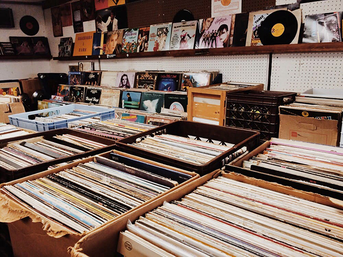 Vinyl records in their cardboard sleeves stand like soldiers in formation, each one a time machine waiting to transport you back to your first dance.