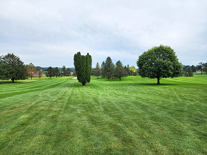 Viroqua Hills Golf Course offers meticulously maintained greens without the pretension, where your slice will still go into the woods, but more beautifully.