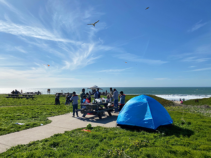 Coastal picnicking at its finest. When your dining room has ocean views and seagulls provide the background music.