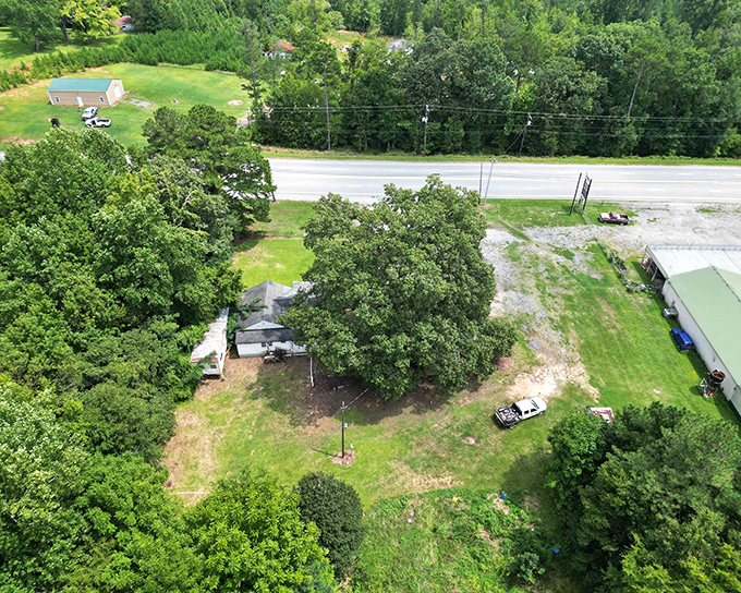 Rural South Carolina reveals itself along Whitmire Highway, where the 25 mph speed limit isn't just a law&mdash;it's a philosophy.