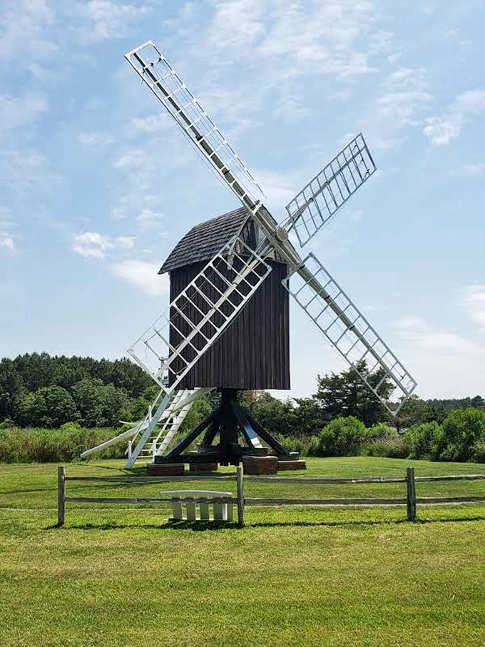 Under Maryland's summer skies, the windmill's white sails contrast beautifully with its dark wooden body &ndash; a photographer's dream in any season.