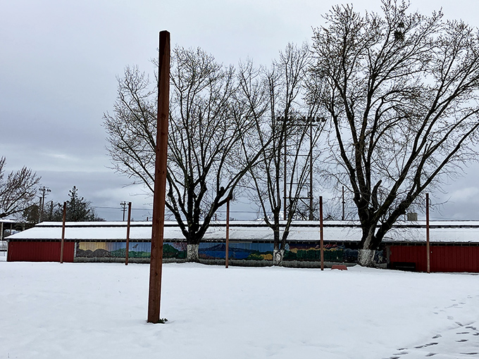 Even in winter, Lakeport maintains its quiet charm. Snow visits occasionally but doesn't stay long enough to drive up heating bills.