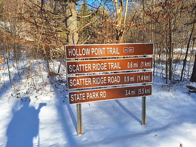 Winter transforms the hiking trails into a snow-covered wonderland, where trail markers stand like sentinels guiding explorers through the quiet forest.