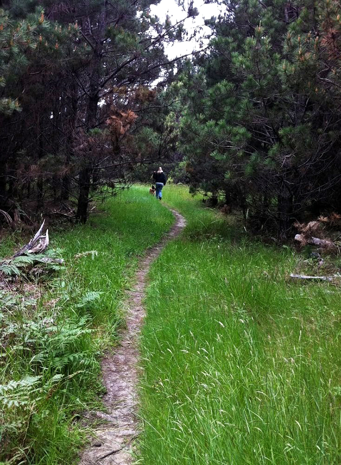 The narrow trail beckons like the opening chapter of a woodland adventure story, promising discoveries that no smartphone notification can match.