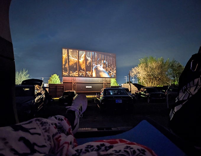 The view from inside a cozy car cocoon &ndash; blankets, pillows, and the movie playing across the massive screen. Drive-in perfection captured.