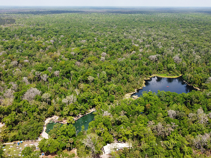 From above, Wekiwa reveals its true self – an emerald oasis nestled within a vast green tapestry, defying Florida's reputation for concrete and crowds.