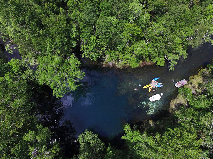 Bird's eye candy! This aerial view reveals the spring's perfect blue circle nestled within the emerald forest like a sapphire in green velvet.