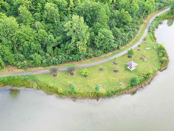 Nature's perfect curve&mdash;where forest meets water in a harmonious dance that's best appreciated from above.