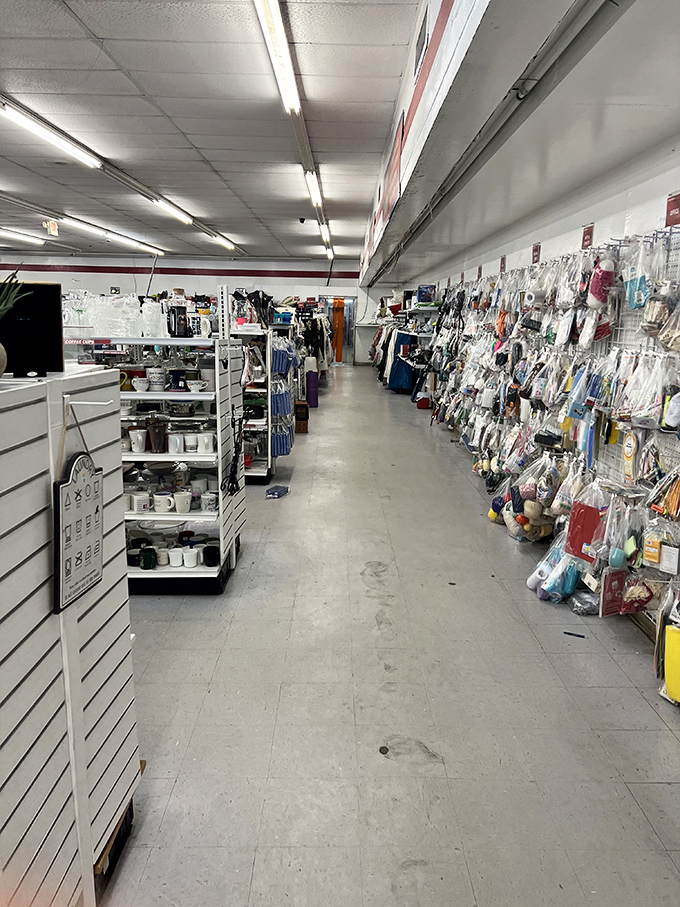 The packaged goods aisle &ndash; a mysterious frontier where kitchen gadgets, craft supplies, and unidentifiable widgets await brave explorers.