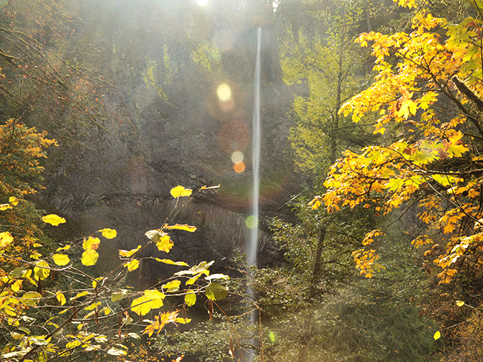 Fall's golden tribute to falling water: Autumn transforms the gorge into a painter's palette of yellows and golds, creating nature's perfect complementary color scheme.