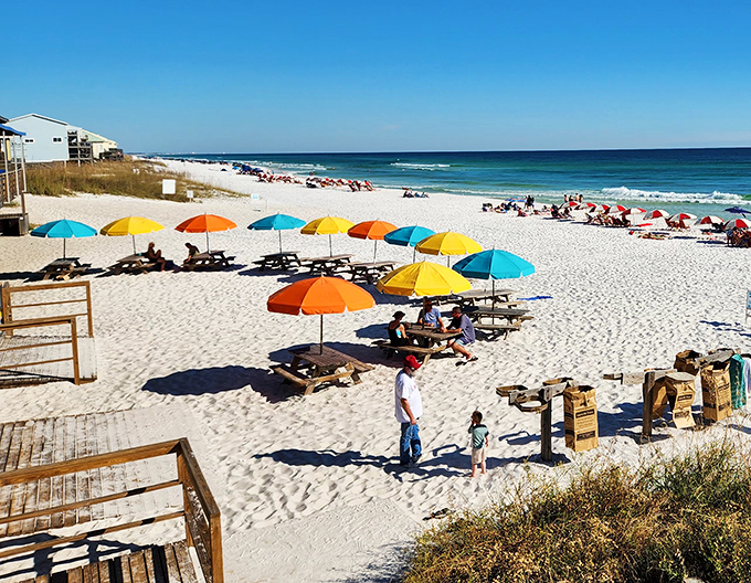 Rainbow umbrellas dot the beach like sprinkles on an ice cream cone. The perfect setup for alternating between swimming, sunbathing, and seafood&mdash;the Florida triathlon. 